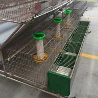 China Stable Farm Rabbit Cage Automatic Drinking / Cleaning 25 Years Use Life for sale