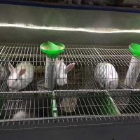 China Silver / Green Commercial Rabbit Cages , Labor Saving Indoor Rabbit House for sale