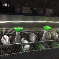 China Silver / Green Commercial Rabbit Cages , Labor Saving Indoor Rabbit House for sale