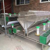China Silver / Green Commercial Rabbit Cages , Labor Saving Indoor Rabbit House for sale