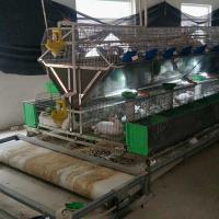 China Stable Farm Rabbit Cage Automatic Drinking / Cleaning 25 Years Use Life for sale