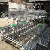 China 50 - 80 Babies Rabbit Breeding Cages , Two Tier Rabbit Hutch Environmental Friendly for sale