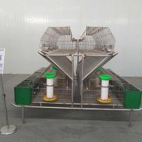 China 12 Mums Commercial Indoor Rabbit Hutch , Female Rabbit 6ft Rabbit Hutch for sale