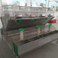 China 12 Moms Farm Rabbit Cage Hot Dipped Galvanized Wire Mesh for sale