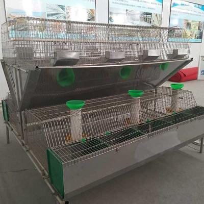 China 12 Moms Farm Rabbit Cage Hot Dipped Galvanized Wire Mesh for sale
