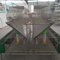China 12 Mums Farm Rabbit Cage Hot Dipped Galvanized Steel Material Sliver / Green Color for sale