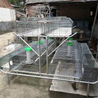 China 12 Mums Farm Rabbit Cage Hot Dipped Galvanized Steel Material Sliver / Green Color for sale