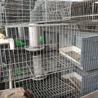 China 24 Cells Battery Operating Farm Rabbit Cage Two Tiers Easy Cleaning Durable for sale