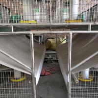China Q235 Steel Wire Farm Rabbit Hutch For Commercial Farming for sale