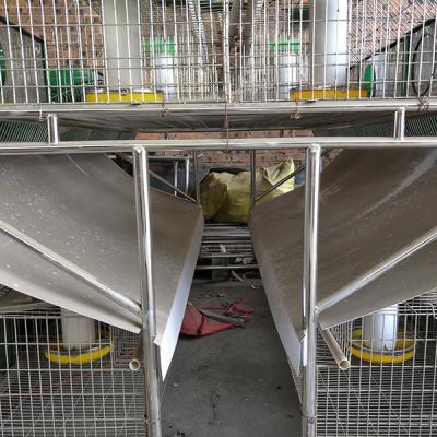 China Q235 Steel Wire Farm Rabbit Hutch For Commercial Farming for sale