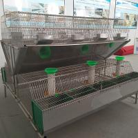 China Large Scale Farm Rabbit Cage 2400 * 2000 * 1500mm Size For Female Rabbit for sale