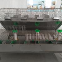 China Q235 Steel wire / Plastic Rabbit Cage , Battery Operating Luxury Rabbit Hutch for sale
