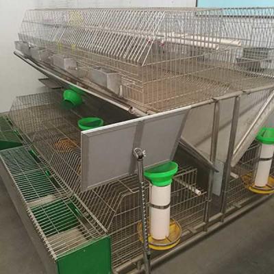 China High Performance Farm Rabbit Cage Anti Corrosion Galvanized Surface Easy Drinking for sale