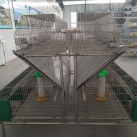 China Steel Wire Mesh Farm Rabbit Cage Hot Dipped Galvanized Surface 12 Mums Capacity for sale
