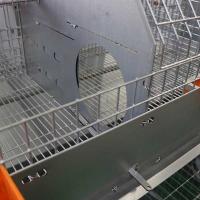China Steel Wire Mesh Farm Rabbit Cage Hot Dipped Galvanized Surface 12 Mums Capacity for sale