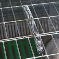China Large Scale Farm Rabbit Cage 2400 * 2000 * 1500mm Size For Female Rabbit for sale