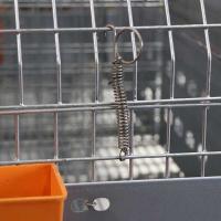 China Comfortable Smart Farm Rabbit Cage Q235 Steel Wire / Plastic Material for sale