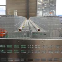 China Comfortable Smart Farm Rabbit Cage Q235 Steel Wire / Plastic Material for sale
