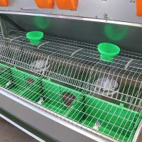 China Comfortable Smart Farm Rabbit Cage Q235 Steel Wire / Plastic Material for sale
