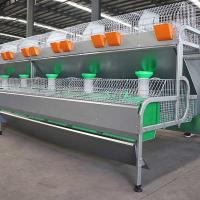 China Battery Power Indoor Rabbit Cage , Durable Sliver 2 Tiers Wire Rabbit Cages for sale