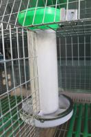 China High Rearing Efficiency Rabbit Battery Cage , 50 - 80 Babies Metal Rabbit Hutch for sale
