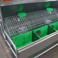 China Breeder 240 * 200 * 150cm Rabbit Cage , Rigid Wire Rabbit Cage With Tray for sale
