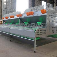 China 2400 * 2000 * 1500mm Farm Rabbit Cage For Rearing / Breeding Container Shipping for sale