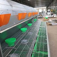 China 2400 * 2000 * 1500mm Farm Rabbit Cage For Rearing / Breeding Container Shipping for sale
