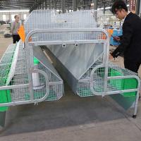 China Durable Large Scale Farm Rabbit Cage Low Disease Rate For Female Rabbit for sale