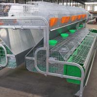 China 2400 * 2000 * 1500mm Farm Rabbit Cage For Rearing / Breeding Container Shipping for sale