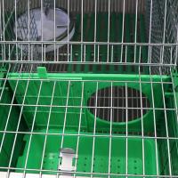 China 12 Mums Commercial Farm Rabbit Cage High Rearing Efficiency Smart Drinking / Feeding for sale