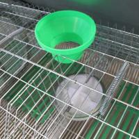 China Breeding Rabbit Hutch With Automatic Poop Collector , Silver Commercial Rabbit Housing for sale