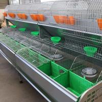 China Breeding Rabbit Hutch With Automatic Poop Collector , Silver Commercial Rabbit Housing for sale