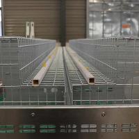 China Low death Rate Double Tier Rabbit Cage , Up Tier 50 - 80 Babies Rabbits In Cages for sale