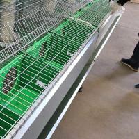 China Low death Rate Double Tier Rabbit Cage , Up Tier 50 - 80 Babies Rabbits In Cages for sale