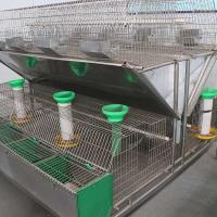China Large Auto Cleaning Farm Rabbit Cage Stable Performance Easy Maintenance for sale