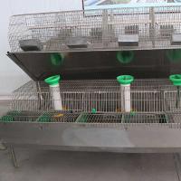 China Automatic Galvanized Rabbit Cages , Female Rabbit 24 Cells Modern Rabbit Cage for sale