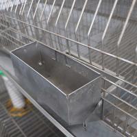 China Automatic Galvanized Rabbit Cages , Female Rabbit 24 Cells Modern Rabbit Cage for sale