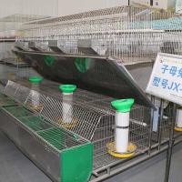 China Breeder 240 * 200 * 150cm Rabbit Cage , Rigid Wire Rabbit Cage With Tray for sale