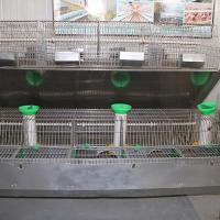 China Breeder 240 * 200 * 150cm Rabbit Cage , Rigid Wire Rabbit Cage With Tray for sale