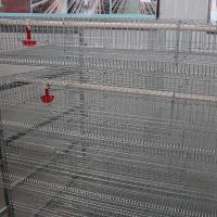 China Indoor Farm Quail Breeding Cages 6 Tiers 12 Cell 288 Quails for sale