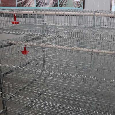 China Indoor Farm Quail Breeding Cages 6 Tiers 12 Cell 288 Quails for sale