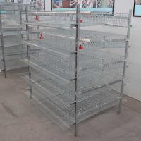 China 380V / 220V 6 Tier Quail Cage durable for quail breeding industry HXQC5 model for sale