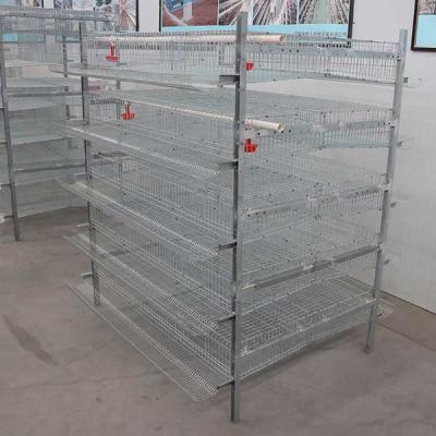 China 380V / 220V 6 Tier Quail Cage durable for quail breeding industry HXQC5 model for sale