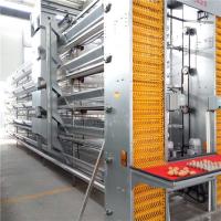 China Stable Performance Automatic Egg Collection System Smooth Running With Belt for sale