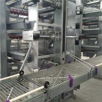 China Simple Structure Poultry Egg Collection System , Automatic Equipments Used In Poultry Farming for sale
