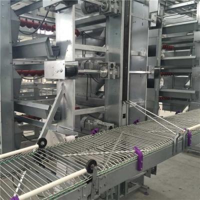 China Simple Structure Poultry Egg Collection System , Automatic Equipments Used In Poultry Farming for sale