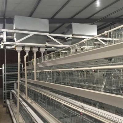 China Small Footprint Automatic Poultry Feeder System High Reliability Easy To Use for sale