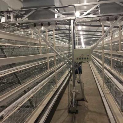 China Stable Automatic Pan Feeding System , Layer Poultry Equipment Easy To Manage for sale