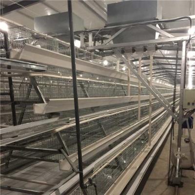 China Large Scale Farm Automatic Poultry Feeder System Quick Conveying Speed for sale